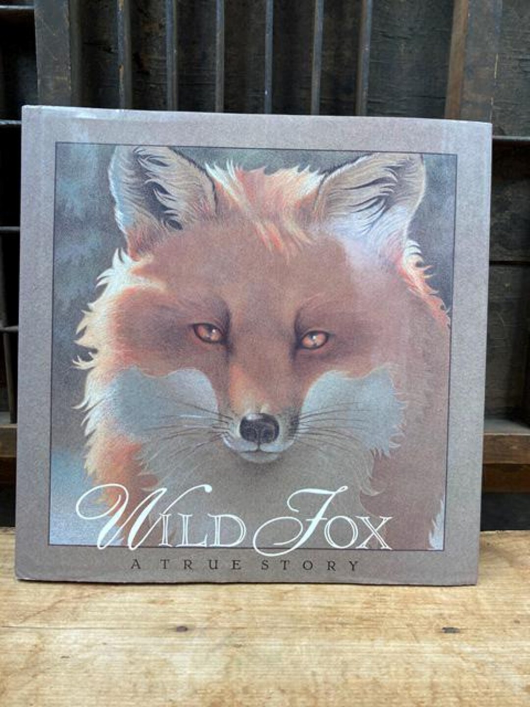 The Wild Fox A True Story by Cherie Mason Illustrated by Joellen ...
