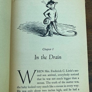 Stuart Little by E B White the Mouse and His Child by Russell Hoban ...