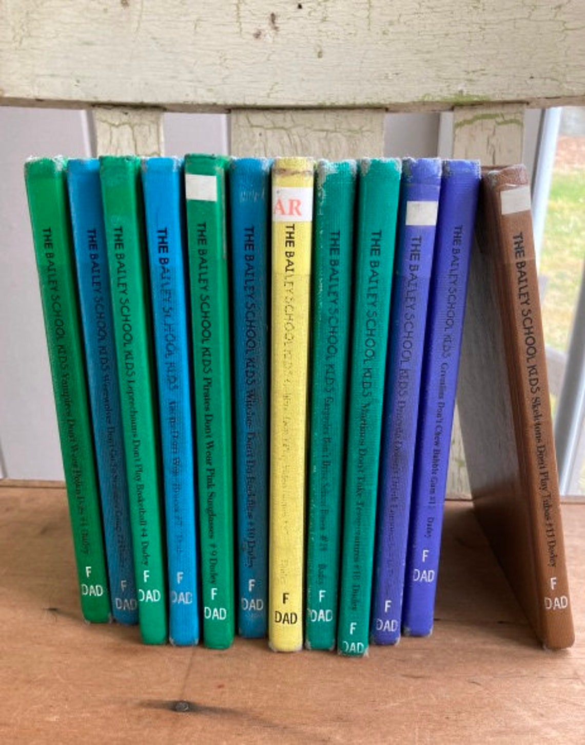 The Adventures of the Bailey School Kids by Debbie Dadey and - Etsy