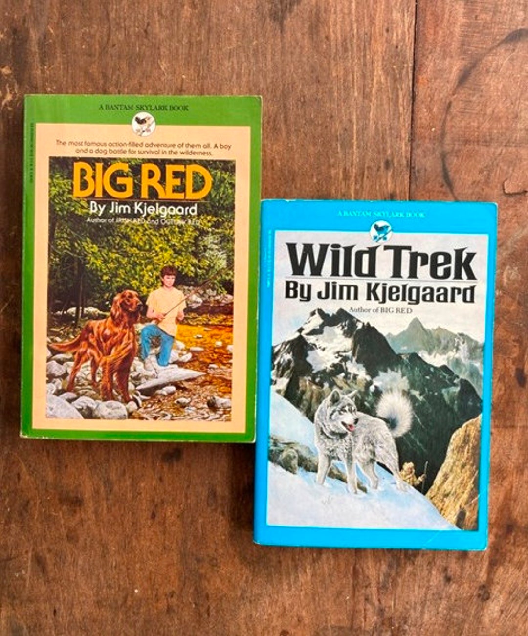 Big Red & Wild Trek by Jim Kjelgaard Adventure Dog Fiction Vintage ...