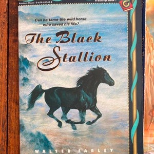 The Black Stallion by Walter Farley Book Series YOUR CHOICE of Title ...