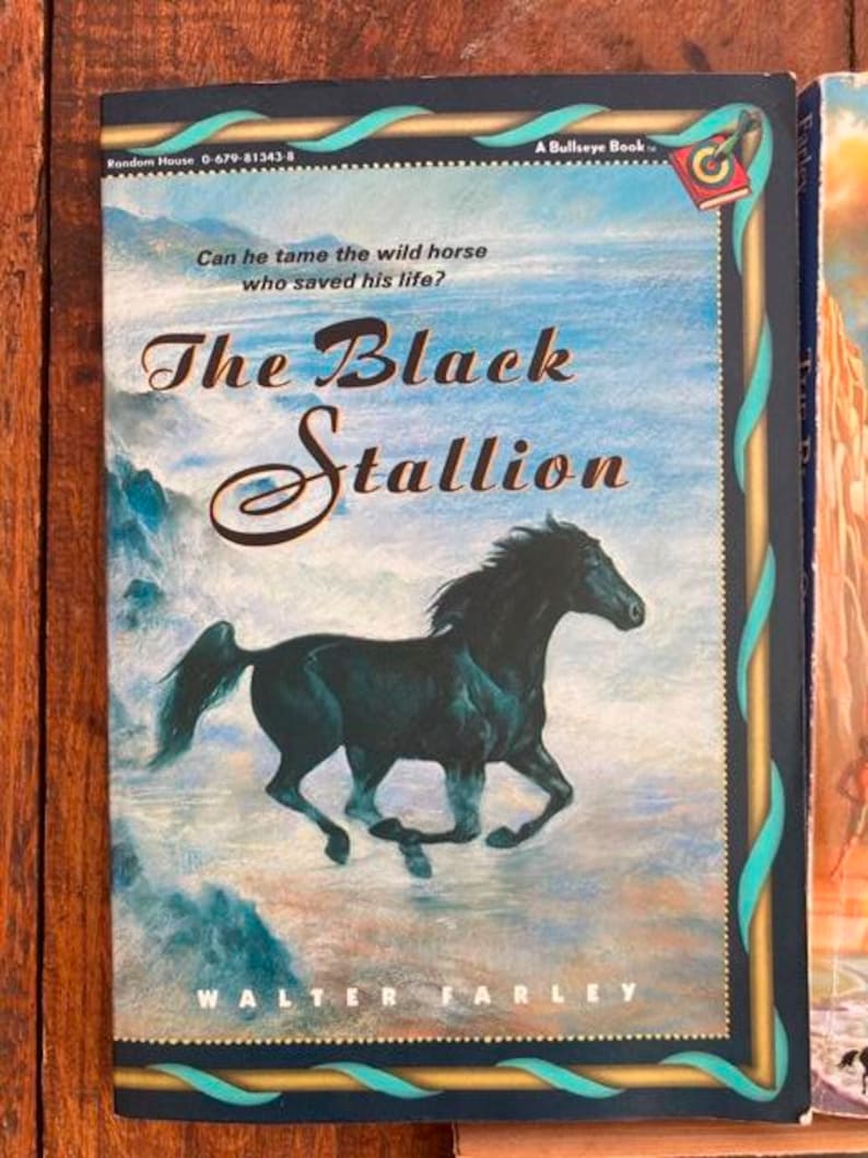 The Black Stallion by Walter Farley Book Series YOUR CHOICE of - Etsy