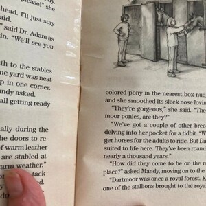 Animal Ark Book Series by Ben M Baglio - Children's Chapter Book - Etsy