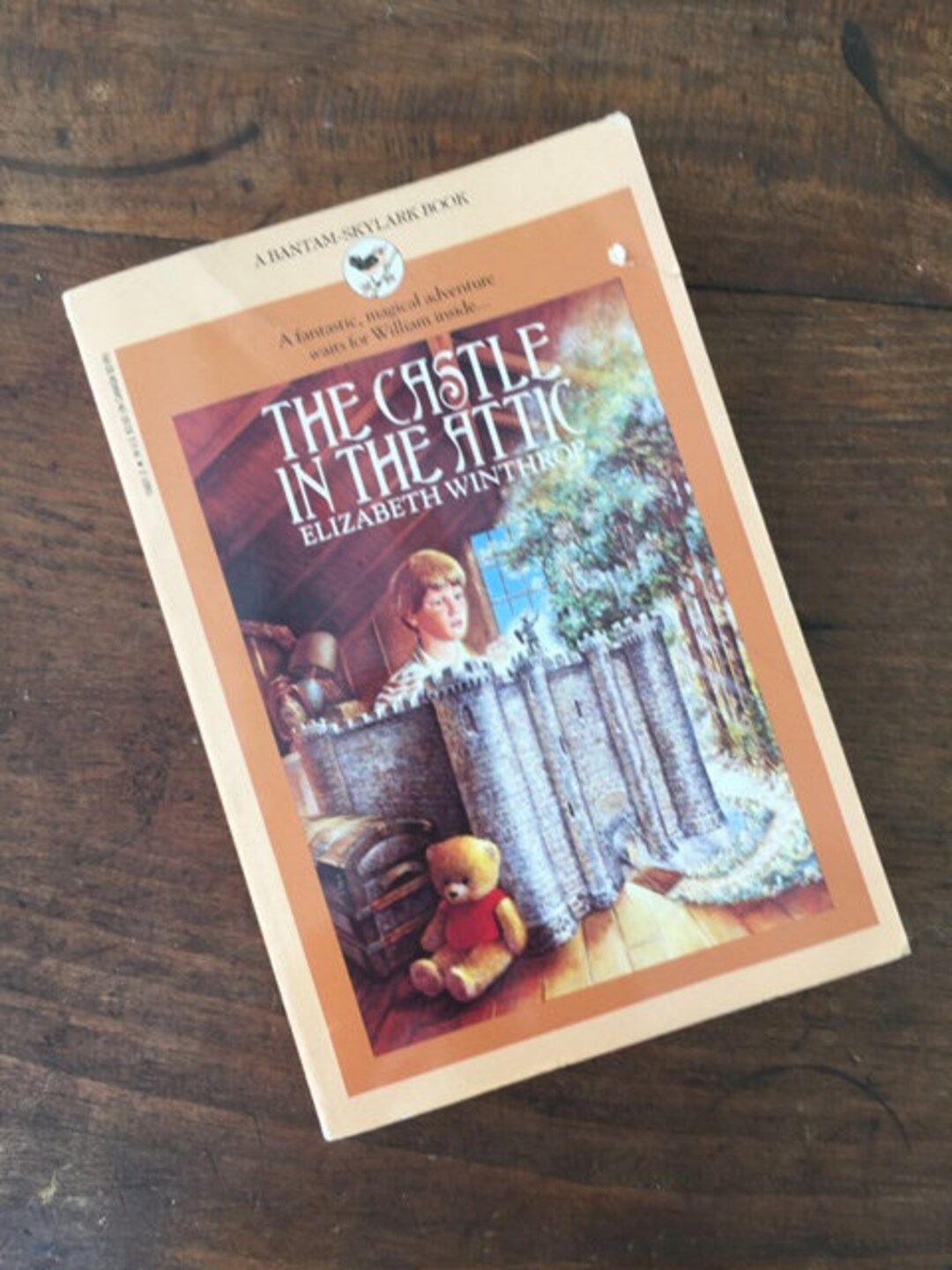 The Castle in the Attic by Elizabeth Winthrop Book One in Series See ...