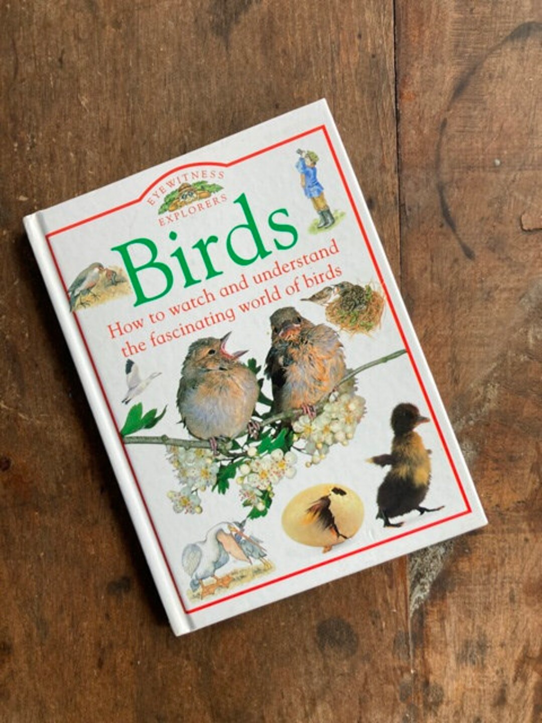 Eyewitness Explorers Bids Watch and Understand Birds Dorling Kindersley Book Bird Identification ...