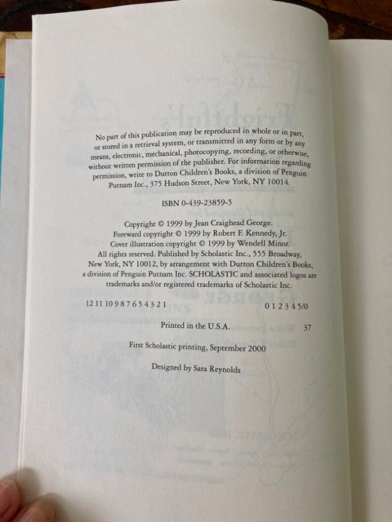 Frightful's Mountain by Jean Craighead George My Side of - Etsy