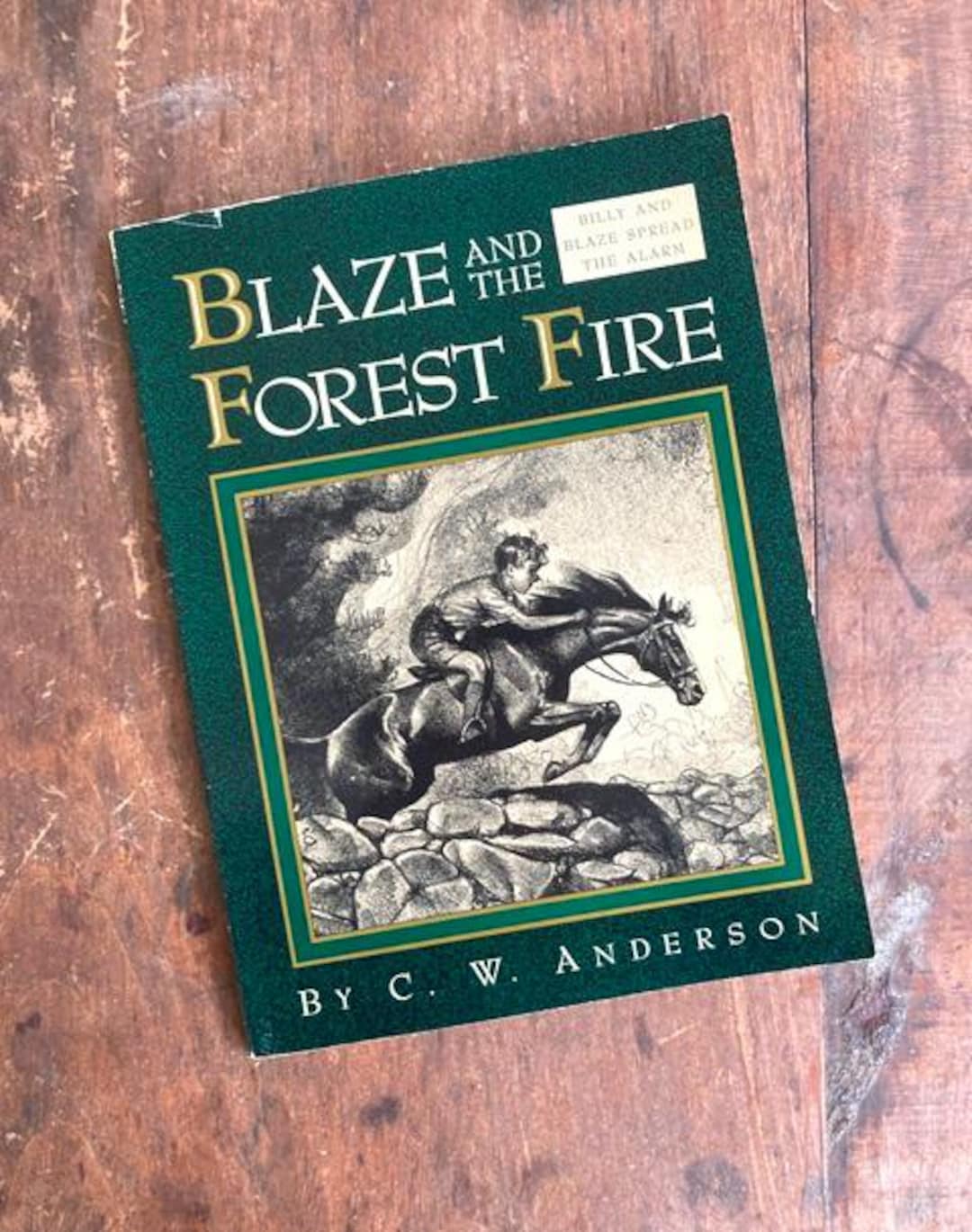 Blaze and the Forest Fire: Billy and Blaze Spread the Alarm by C.W. Anderson Author and ...