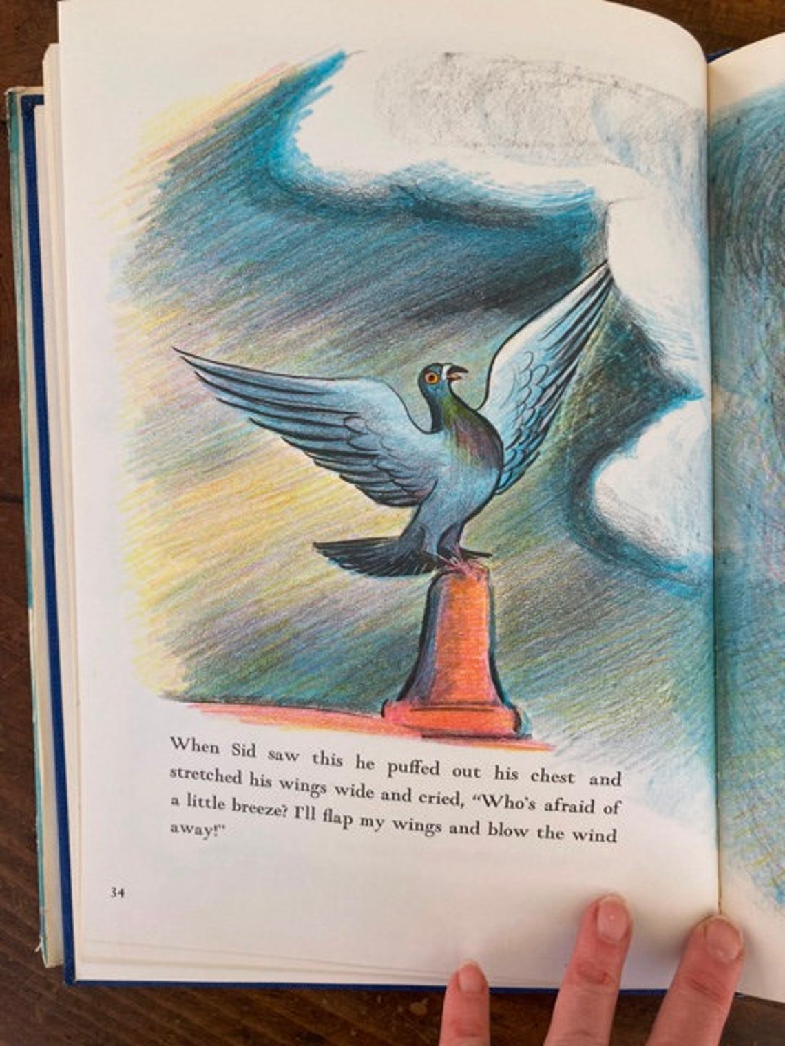 Fly High Fly Low by Don Freeman Hardcover 1957 Caldecott Honor - Etsy