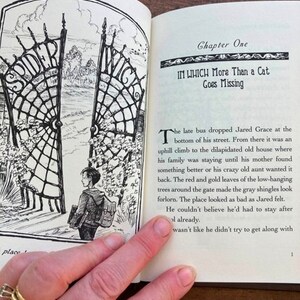 The Spiderwick Chronicles Tony Diterlizzi & Holly Black Books 1-5 Field ...