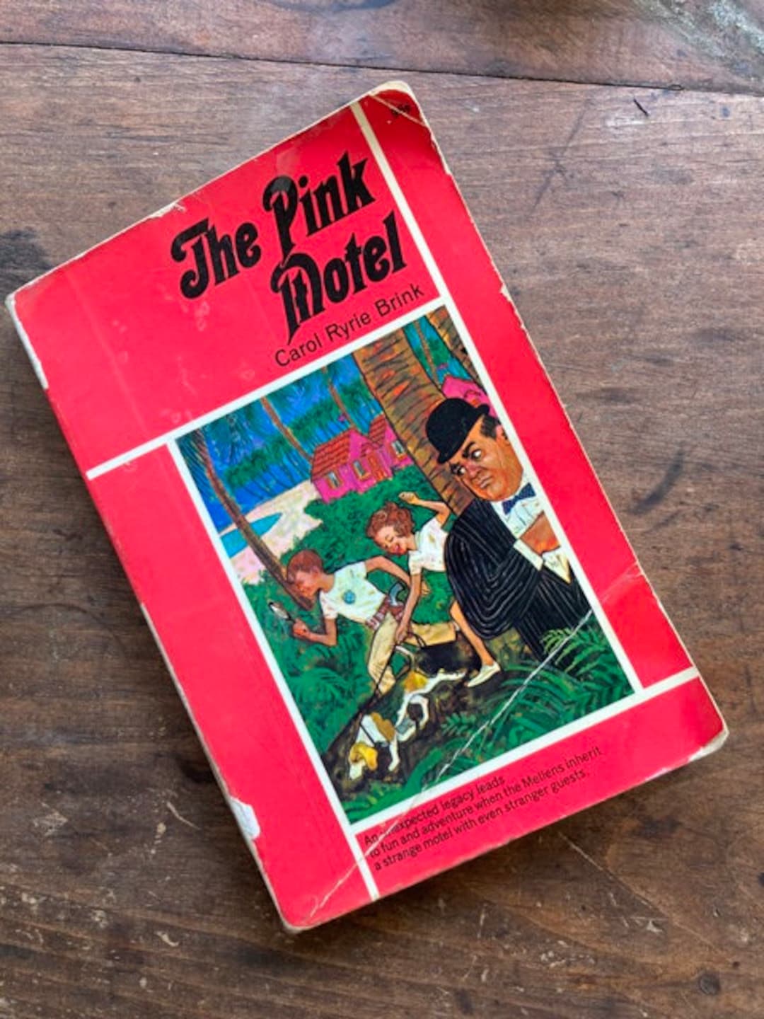 The Pink Hotel by Carol Ryrie Brink Classic Children's Adventure ...