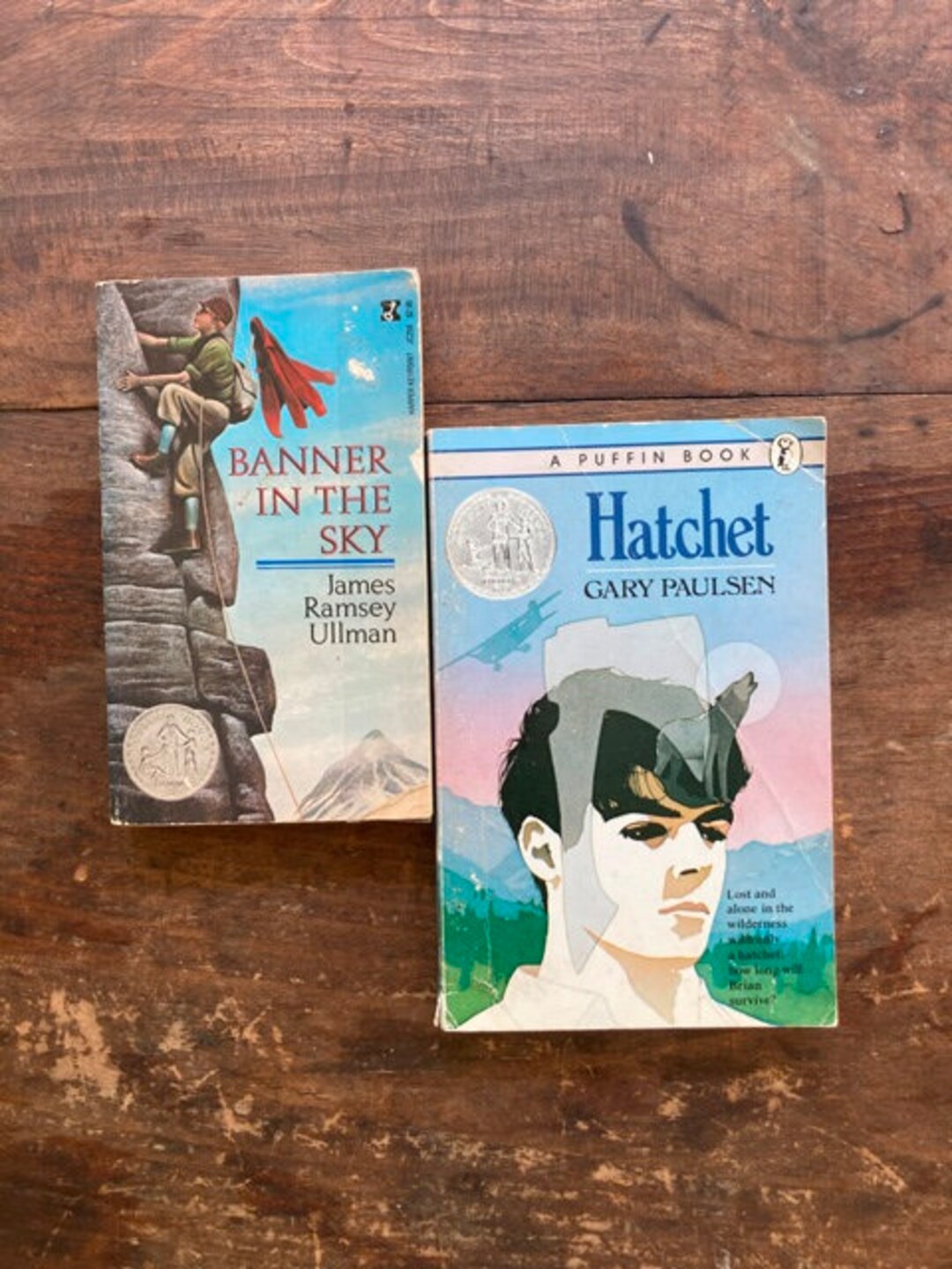 Hatchet by Gary Paulsen & Banner in the Sky by James Ramsey Ullman ...