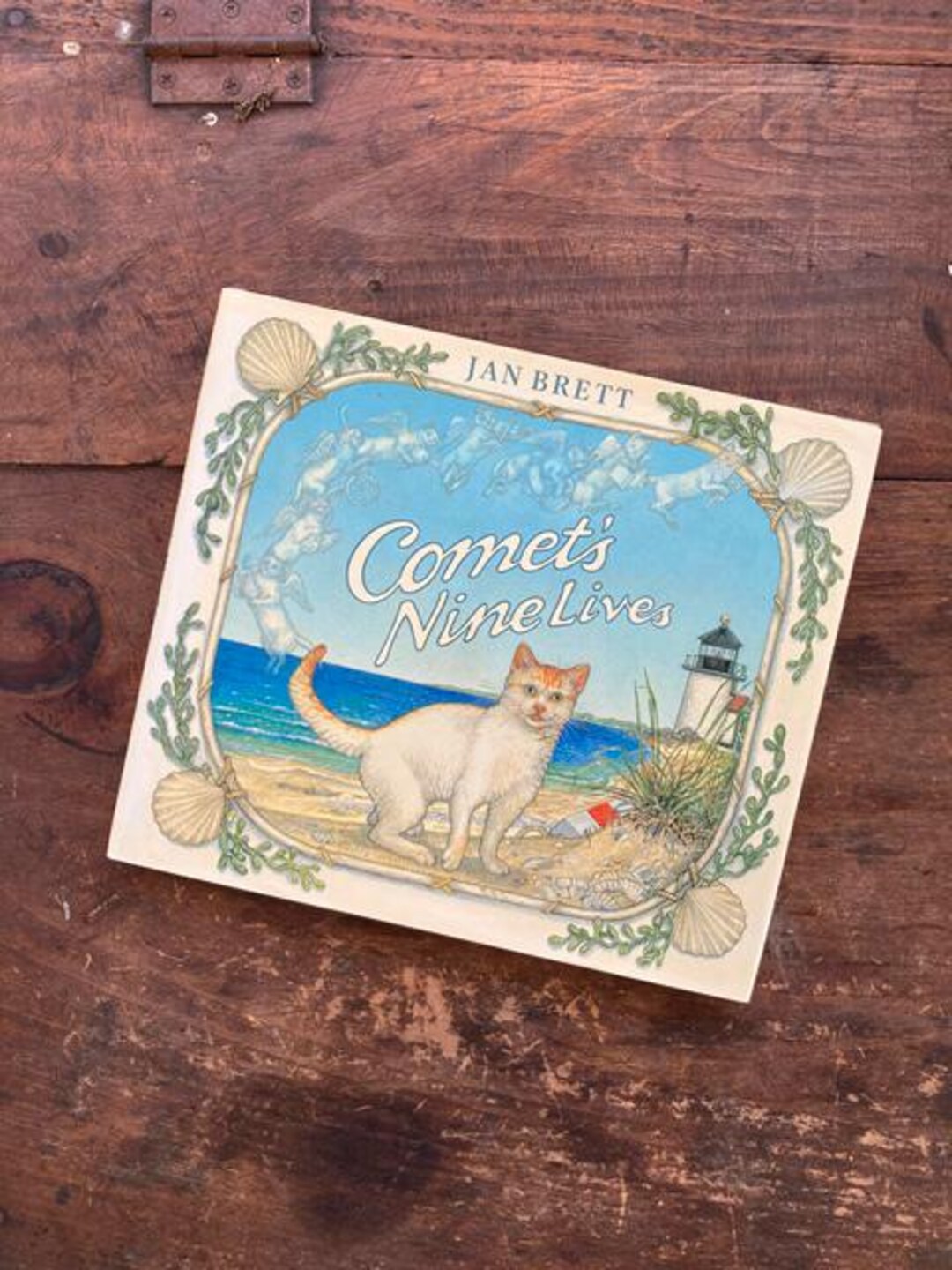 Comet's Nine Lives by Jan Brett Children's Picture Book Nantucket ...