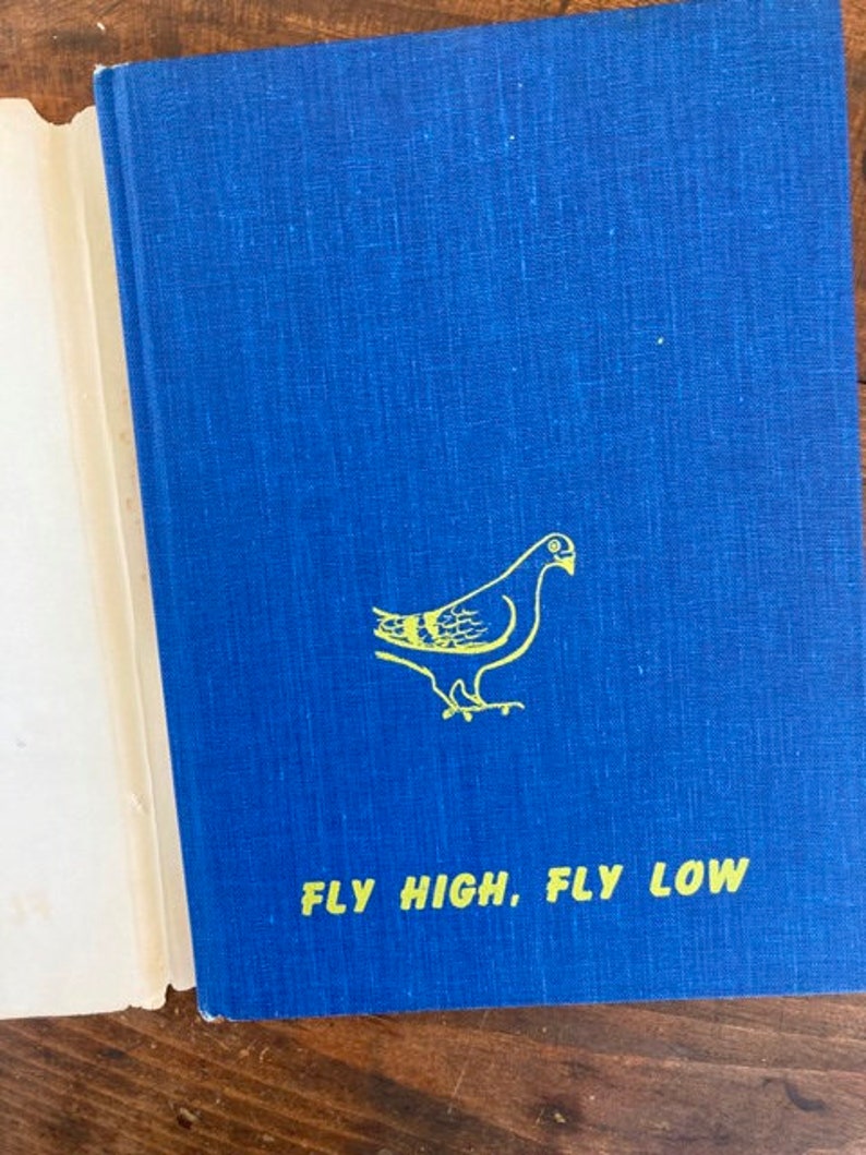 Fly High Fly Low by Don Freeman Hardcover 1957 Caldecott Honor - Etsy