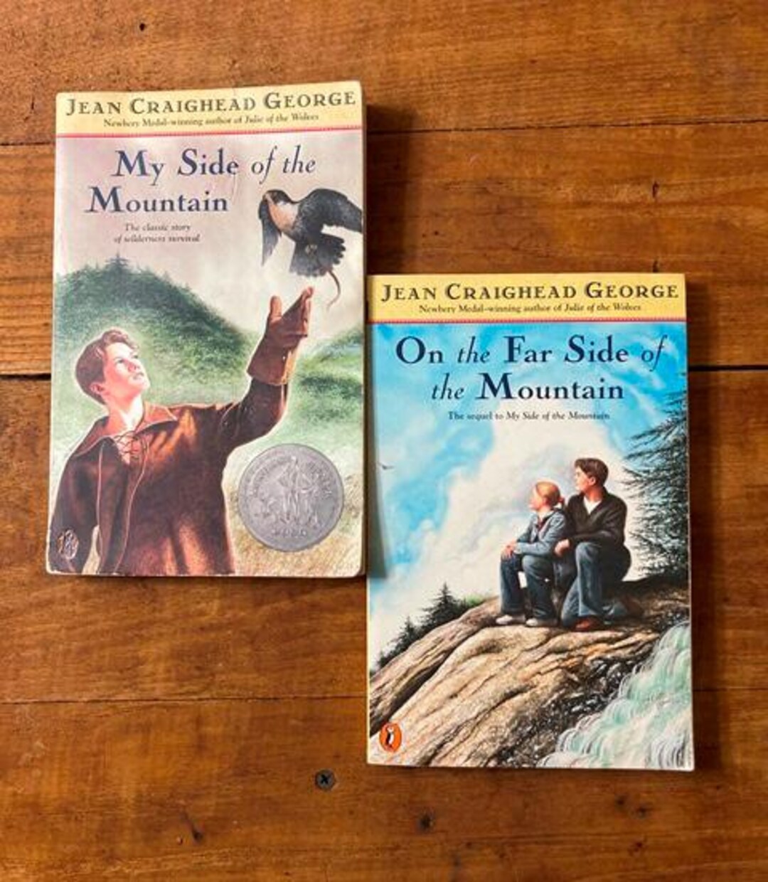 My Side of the Mountain & on the Far Side of the Mountain by Jean ...