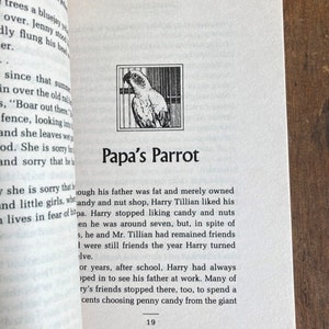 Every Living Thing Stories by Cynthia Rylant Decorations by S D ...