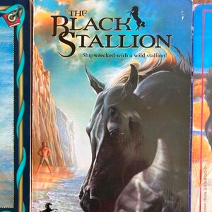 The Black Stallion by Walter Farley Book Series YOUR CHOICE of Title ...