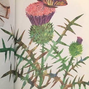 Eric Carle the Lamb and the Butterfly the Hole in the Dike Why Noah ...