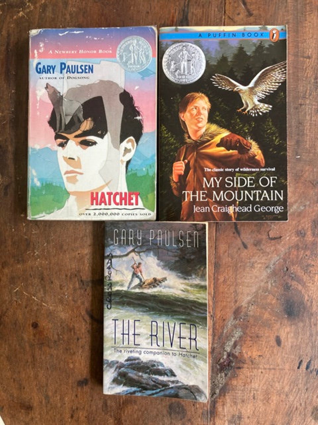 Hatchet & the River by Gary Paulsen and My Side of the Mountain by Jean ...