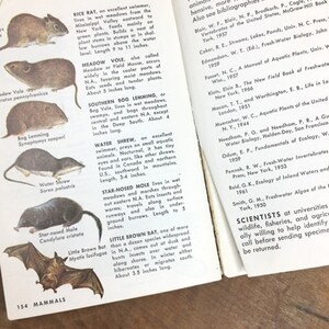 Pond Life A Golden Nature Guide to Common Plants and Animals of North ...