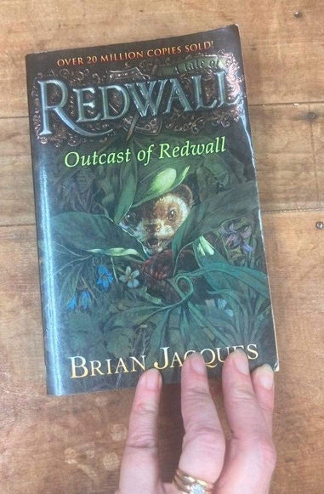 Outcast of Redwall by Brian Jacques Young Adult Fantasy Fiction 1996 ...