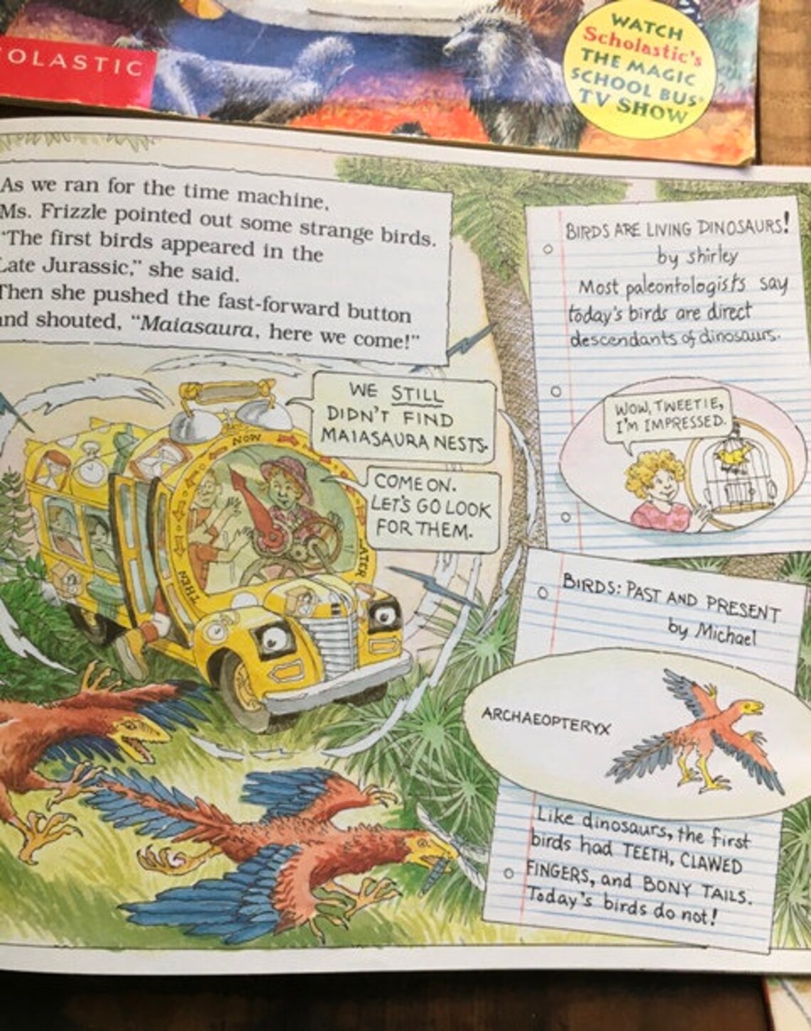 The Magic School Bus Spins A Web Time of the Dinosaurs | Etsy