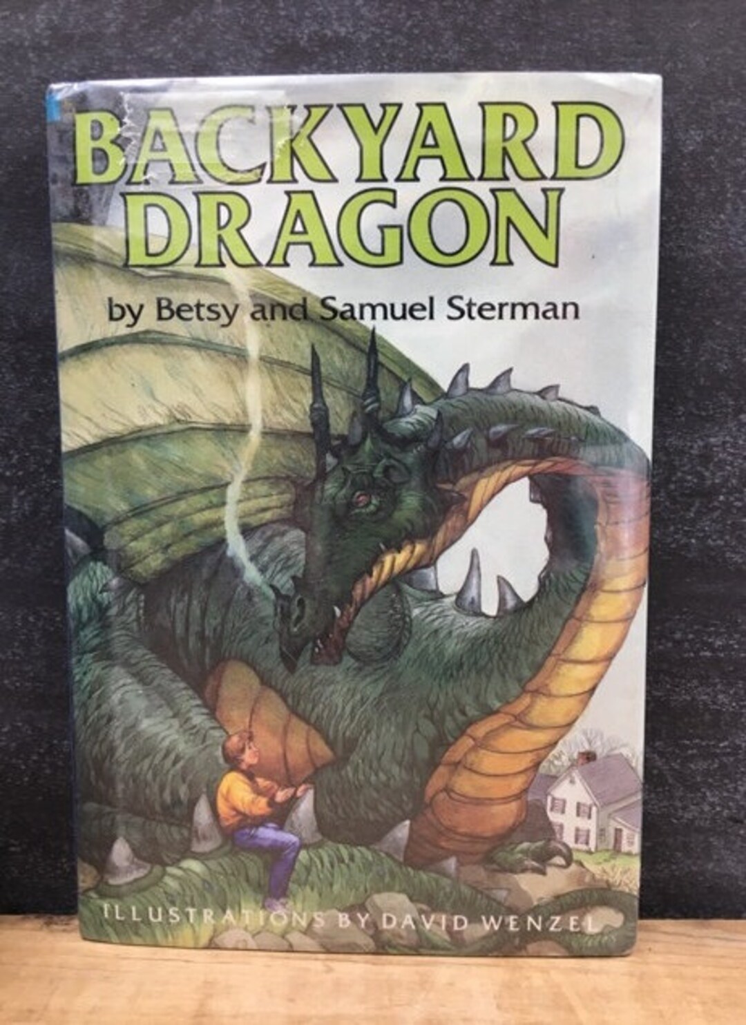 Backyard Dragon by Betsy and Samuel Sterman Illustrations by David ...
