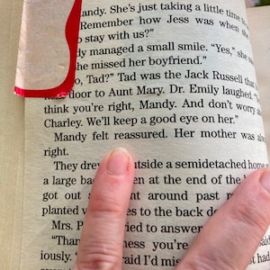 Animal Ark Book Series by Ben M Baglio - Children's Chapter Book - Etsy