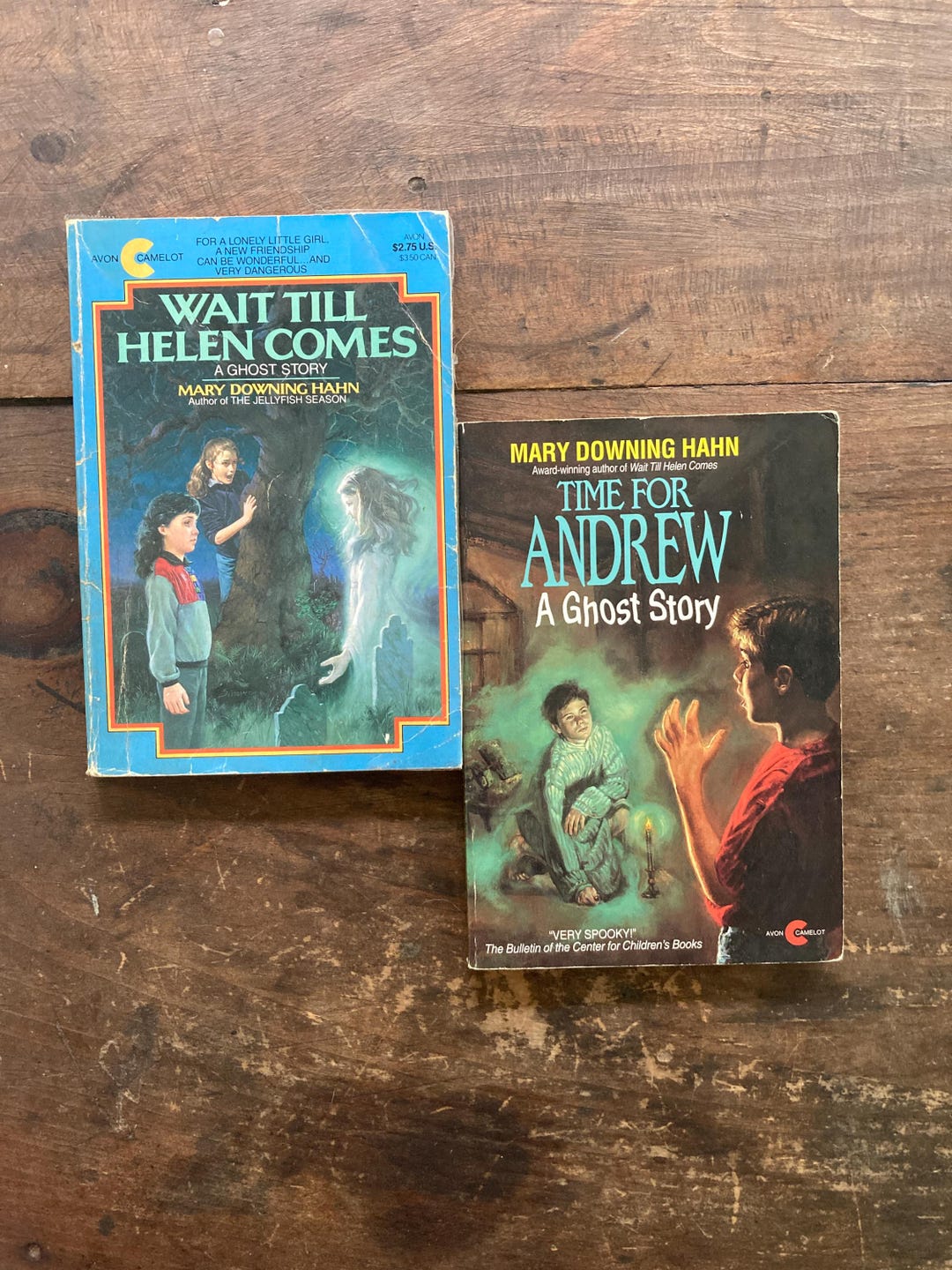 Wait Till Helen Comes A Ghost Story & Time for Andrew A Ghost Story by ...