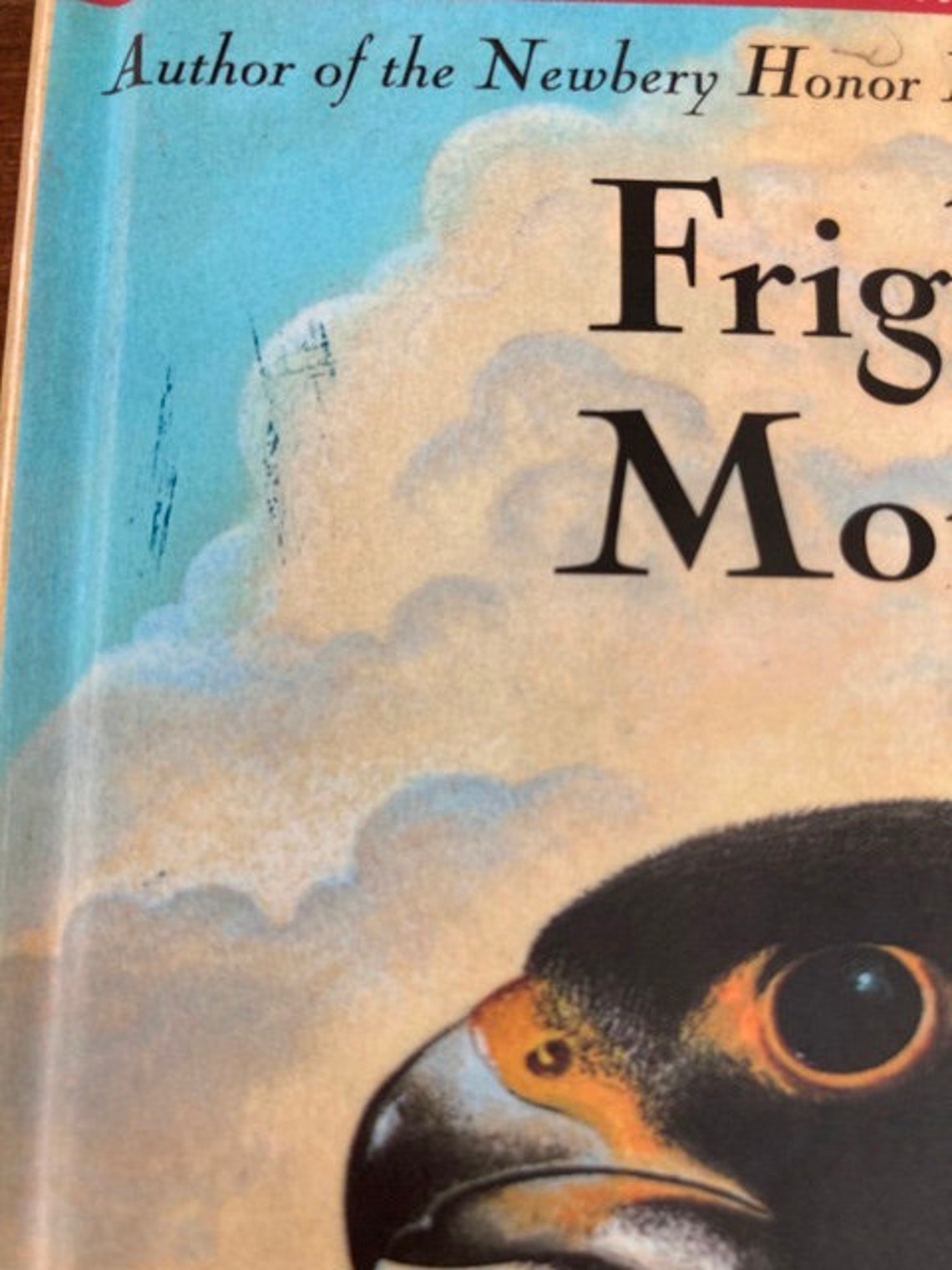Frightful's Mountain by Jean Craighead George My Side of - Etsy