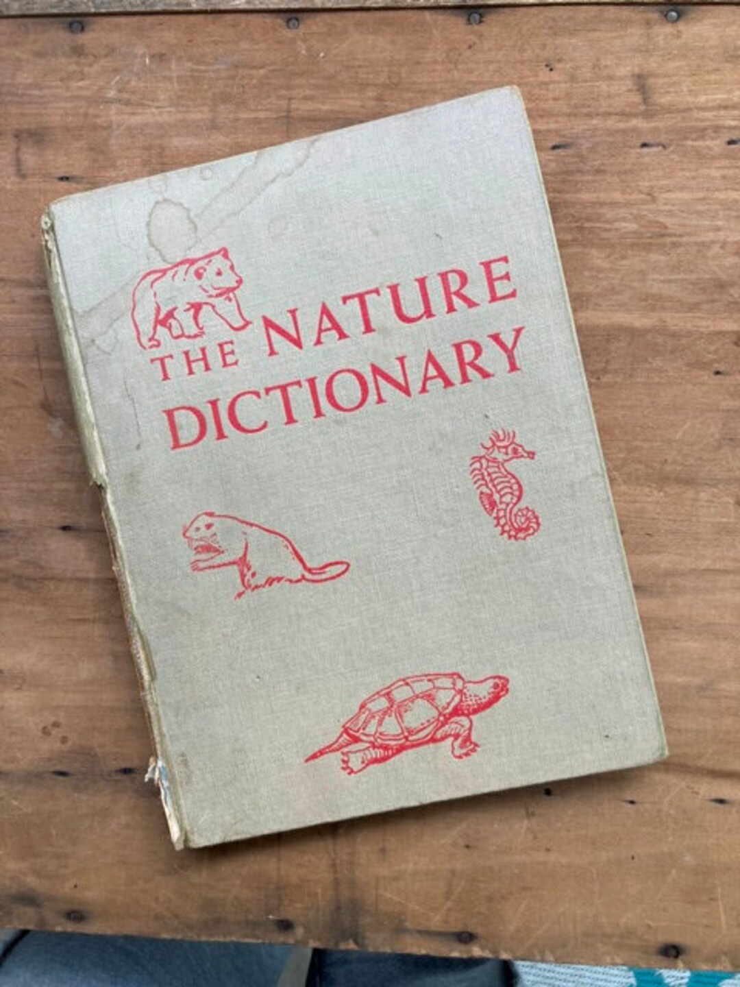The Nature Dictionary A Picture Guide to Living Things by John Hayes ...