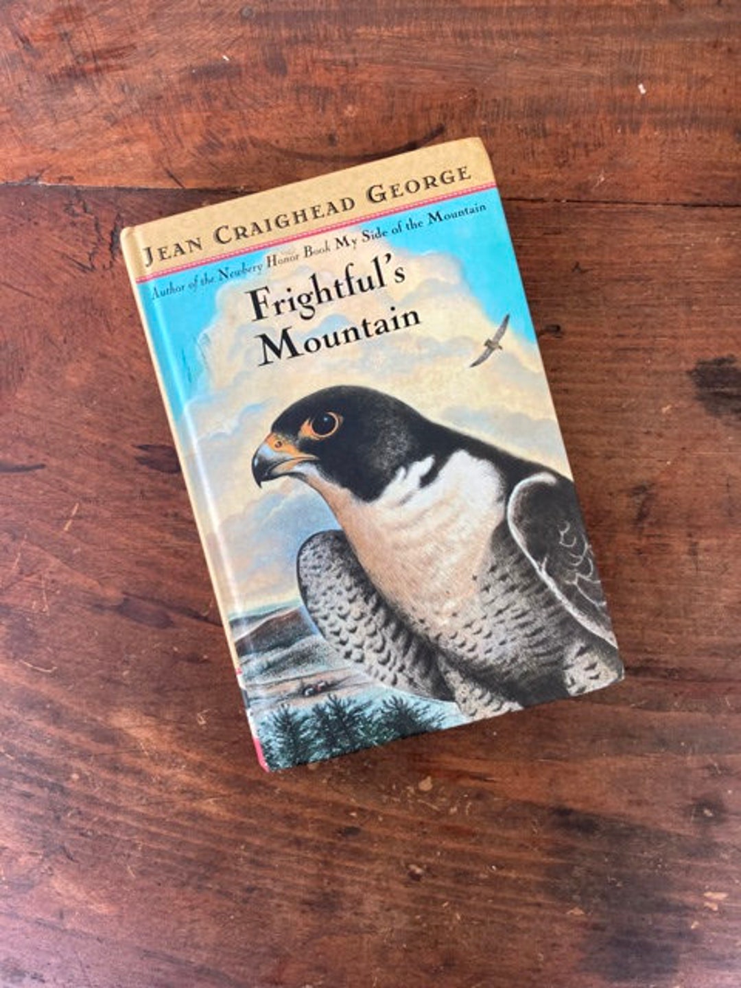 Frightful's Mountain by Jean Craighead George My Side of the Mountain ...