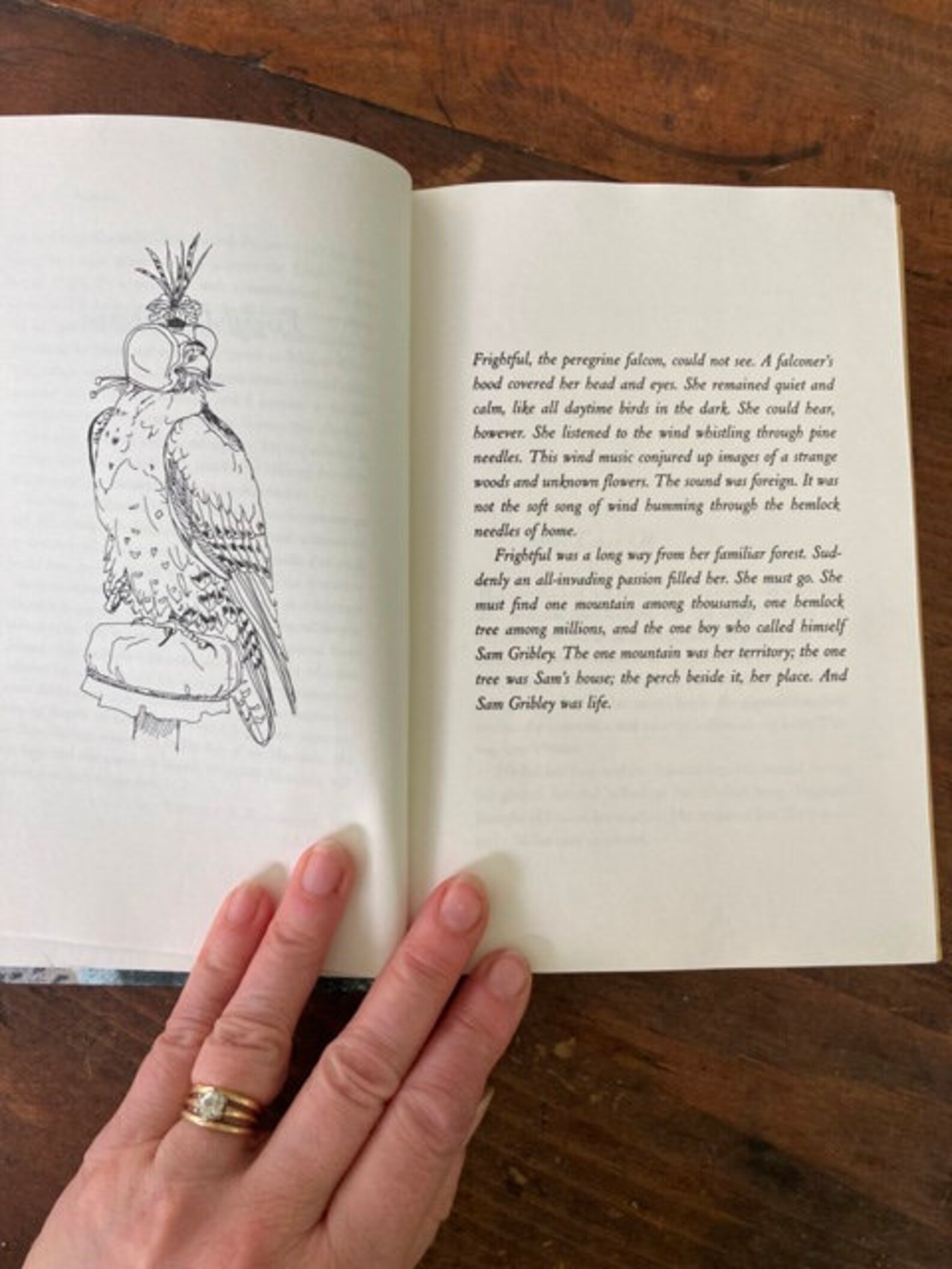 Frightful's Mountain by Jean Craighead George My Side of - Etsy