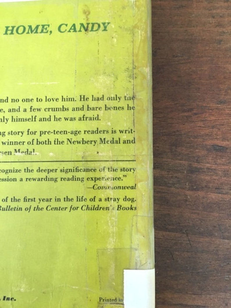 Hurry Home Candy by Meindert Dejong Illustrated by Maurice - Etsy