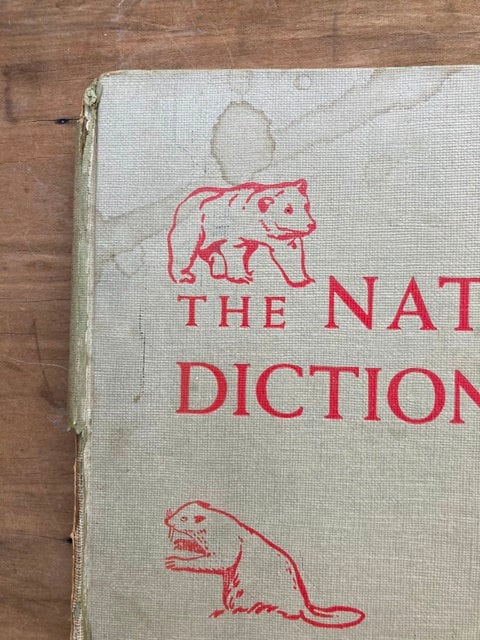 The Nature Dictionary A Picture Guide to Living Things by John - Etsy