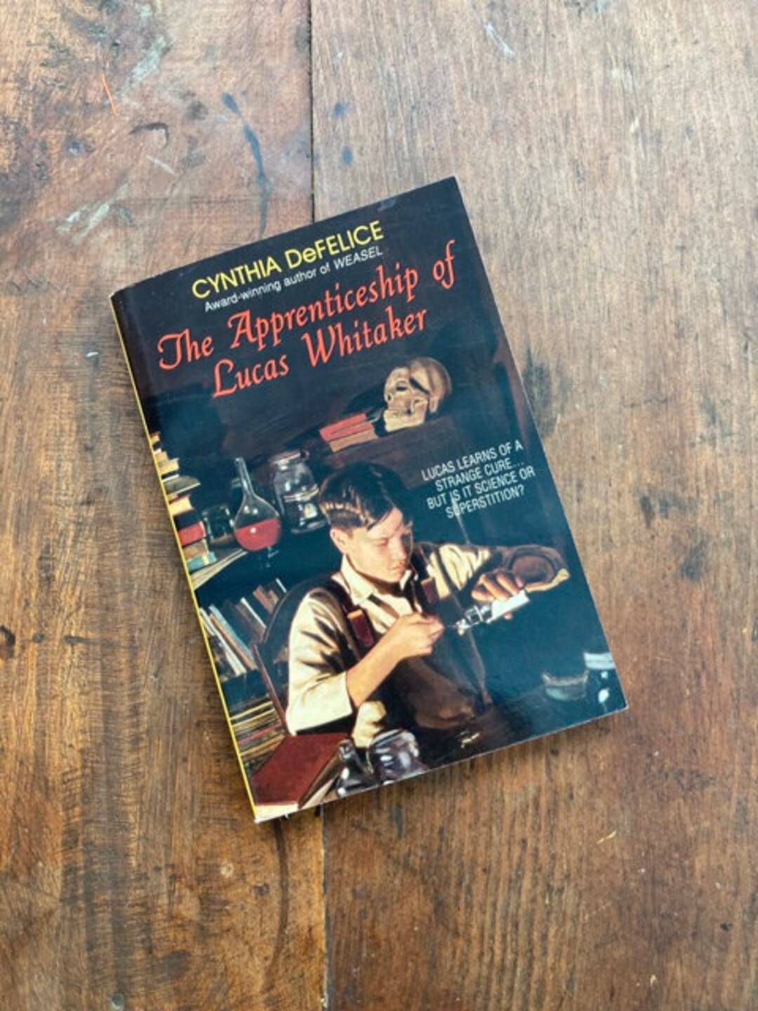 The Apprenticeship of Lucas Whitaker by Cynthia Defelice Historical ...