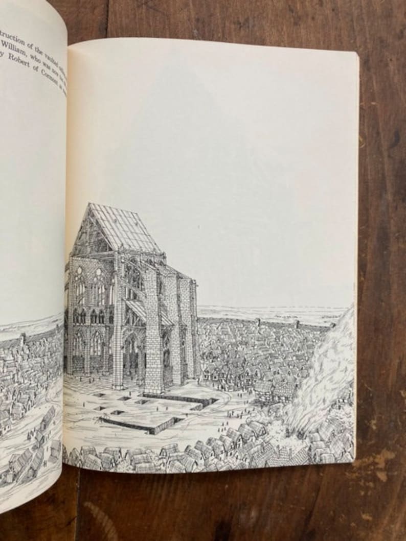 Cathedral & Mosque by David Macaulay Architectural Picture - Etsy