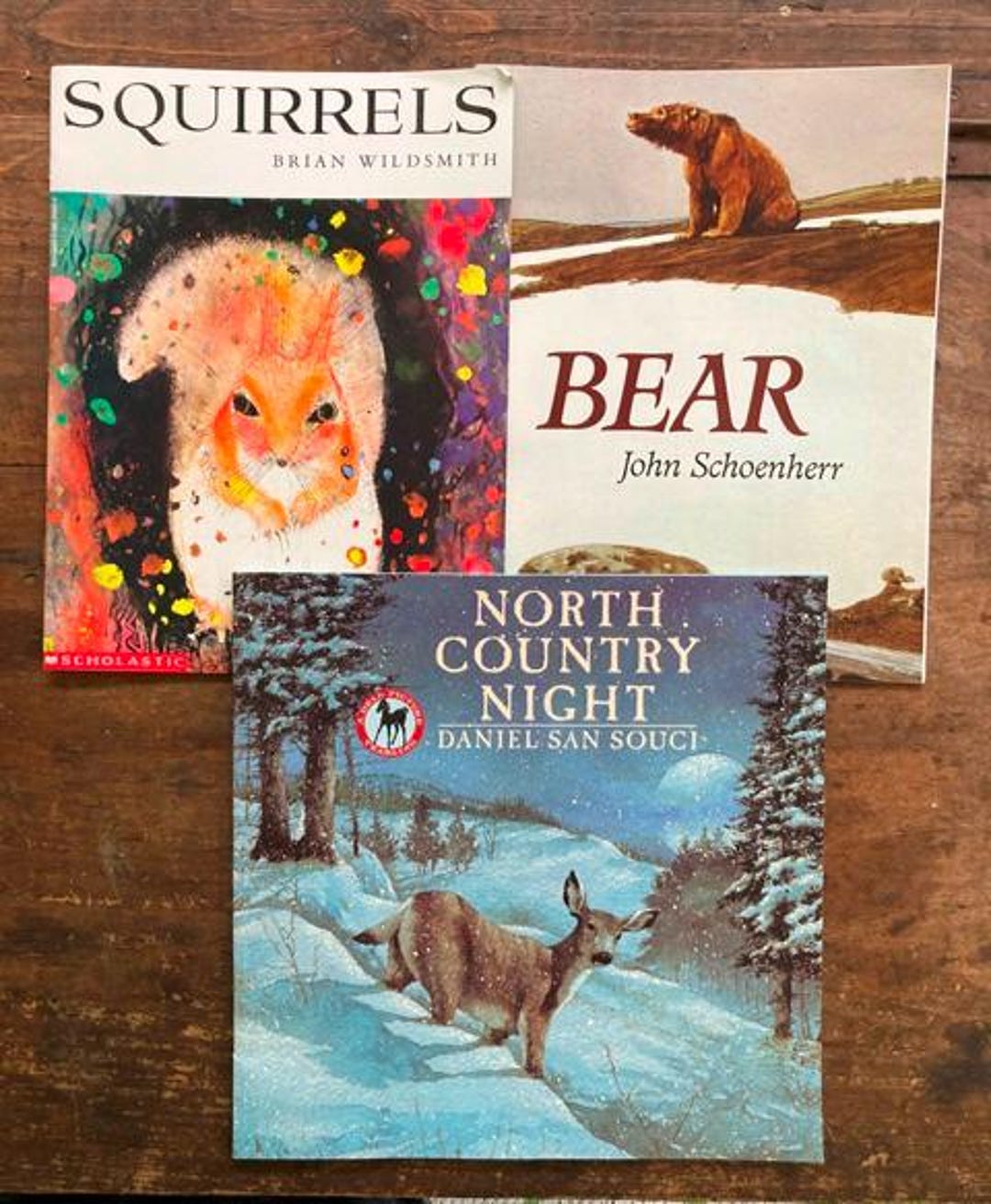 Scholastic Woodland Animals Paperback Book Set: Squirrels, Bear, North ...