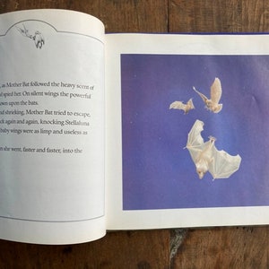 Stellaluna by Janell Cannon Reading Rainbow Book Classic Picture Book ...