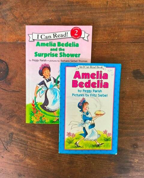 Amelia Bedelia & the Surprise Shower by Peggy Parish Pictures - Etsy