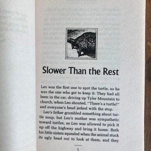 Every Living Thing Stories by Cynthia Rylant Decorations by S D ...