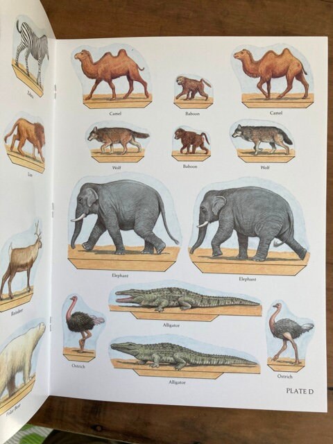 Easy to Make Noah's Ark Model in Full Color by A G Smith - Etsy