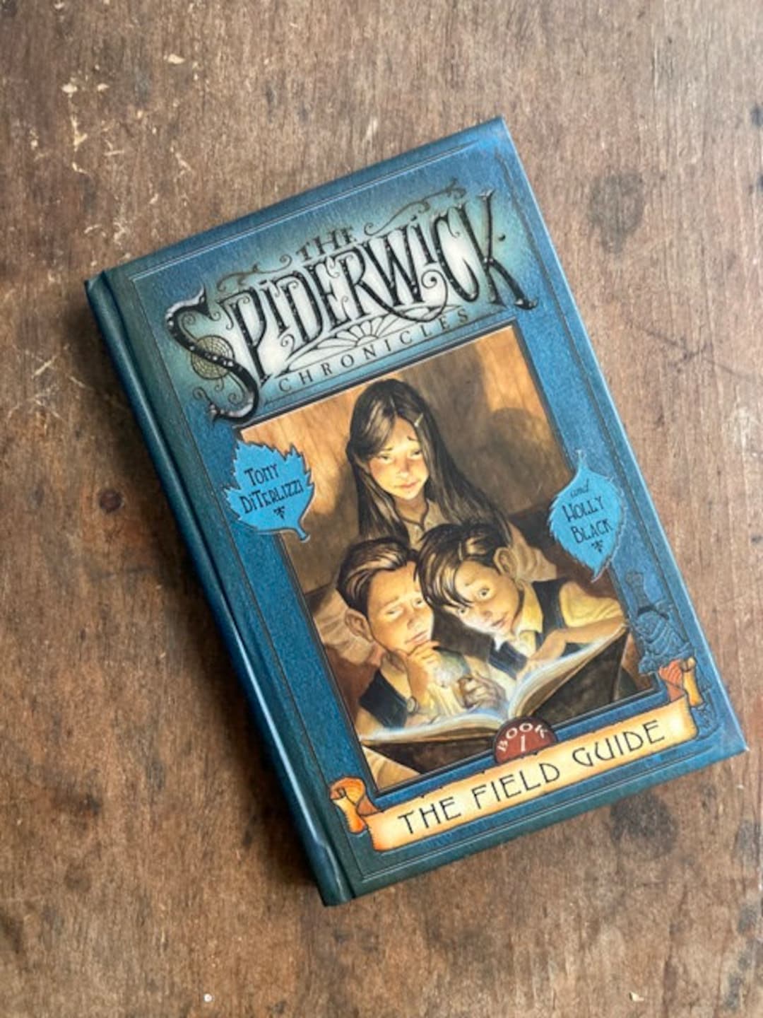The Spiderwick Chronicles Book 1 the Field Guide by Tony Diterlizzi and ...