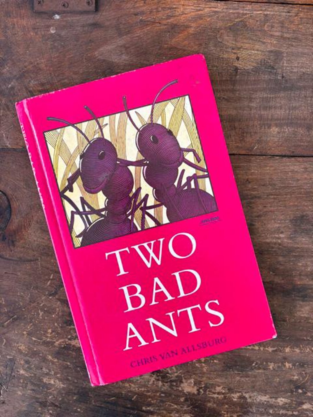Two Bad Ants by Chris Van Allsburg Hardcover Perma-bound 1988 - Etsy