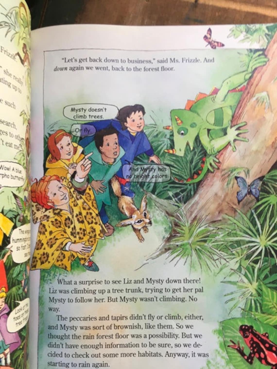 The Magic School Bus Spins A Web Time of the Dinosaurs - Etsy