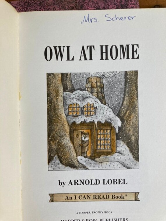 Owl At Home