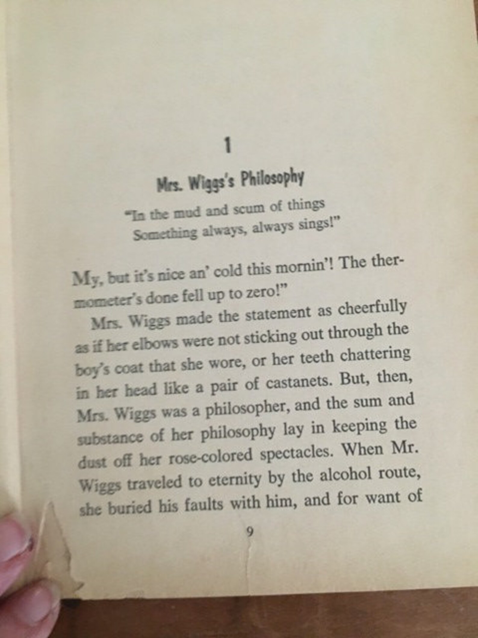 Mrs. Wiggs of the Cabbage Patch by Alice Hegan Rice Classic | Etsy