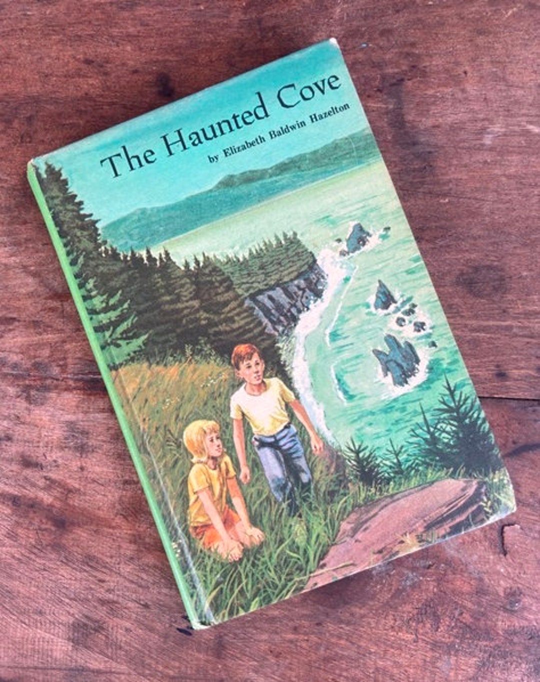 The Haunted Cove by Elizabeth Baldwin Hazelton Illustrated by Ned ...