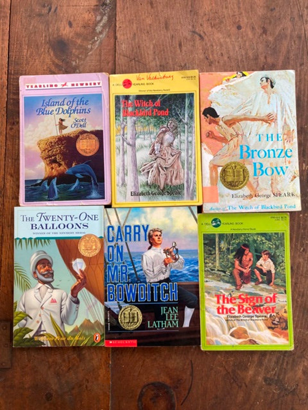 Newbery Medal Book Collection Island of the Blue Dolphins Witch of ...