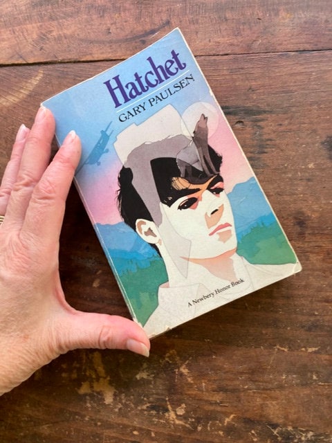 Hatchet The Book Drawings