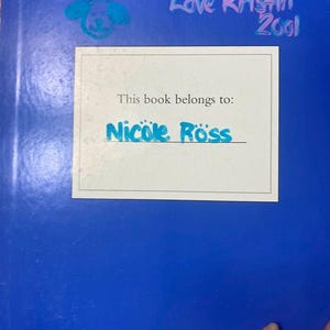 I Spy Year-round Challenger! Picture Riddles Scholastic Hunt and Find ...